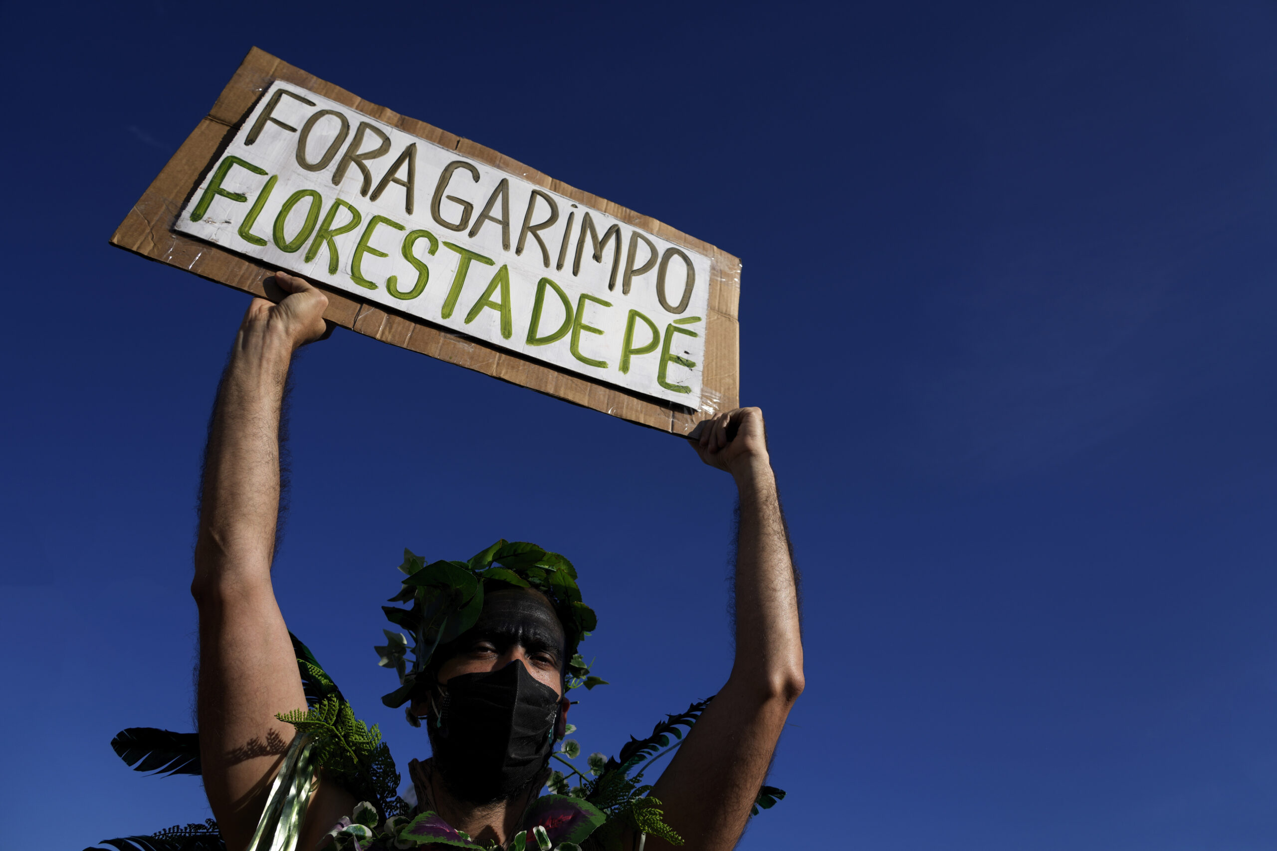 Amazon Rainforest Explainer | News, Sports, Jobs - News and Sentinel